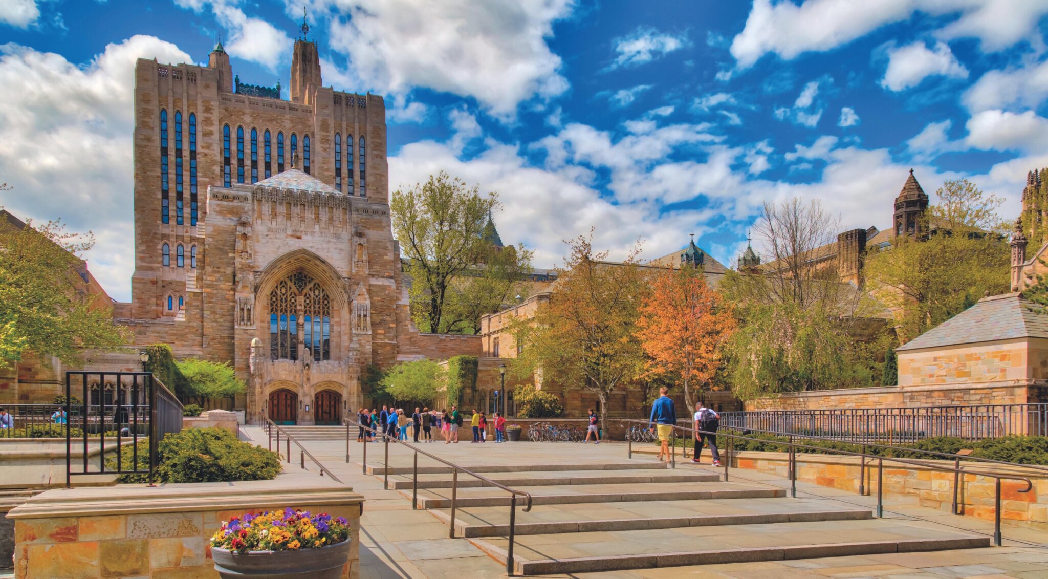 Oxford Royale at Yale 2026 | Summer Courses